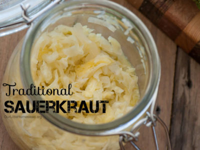 Sauerkraut Fermenting Recipe - Our Little Homestead